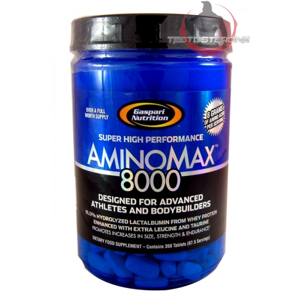 GASPARI NUTRITION Aminomax 8000 - Cena - Najtaniej w sklepie Testosterone